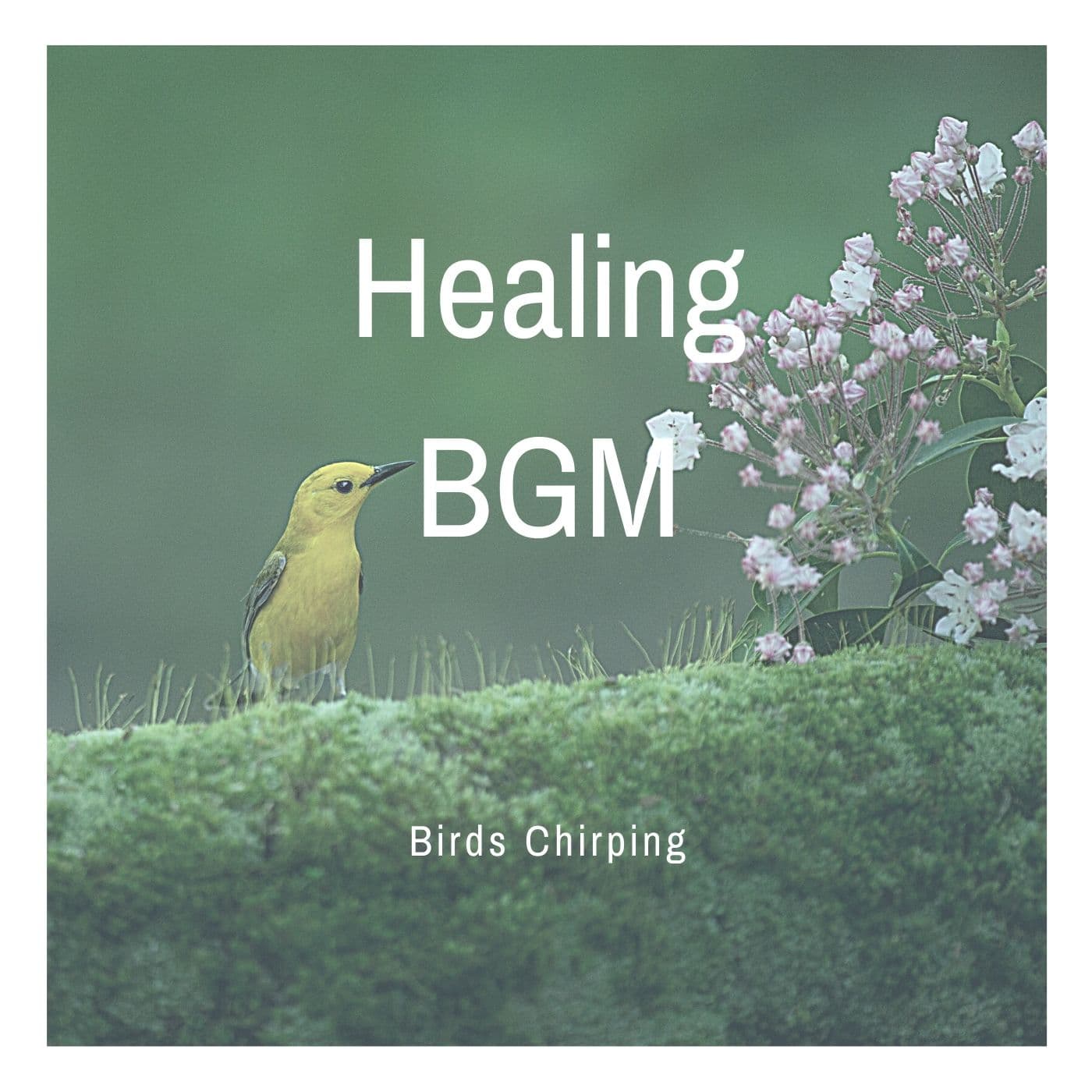 飲食店オーナー必読！JASRACの使用料と著作権違反しないBGM活用法 | 店舗BGMアプリ モンスター・チャンネル